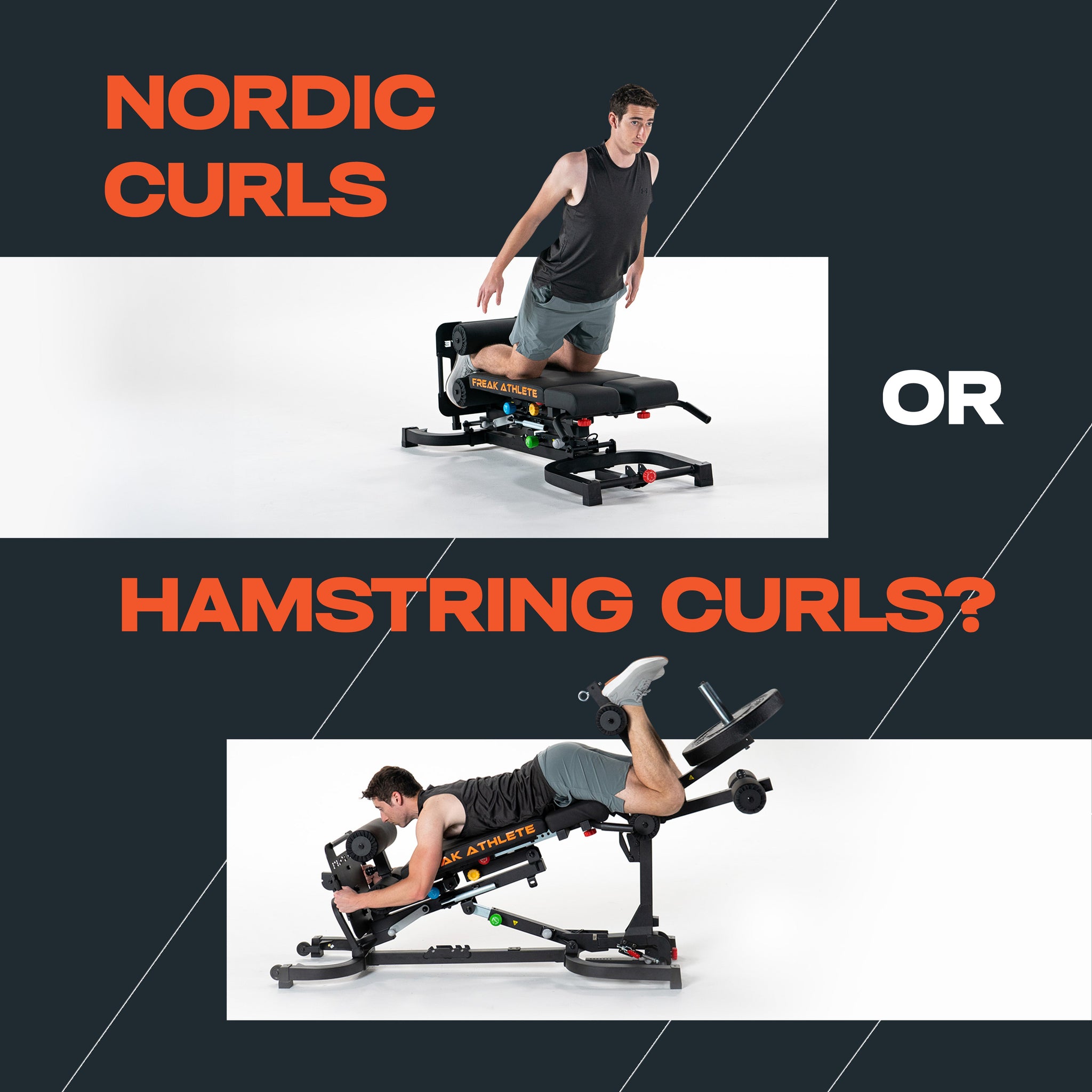 Nordic Curls VS Hamstring Curls